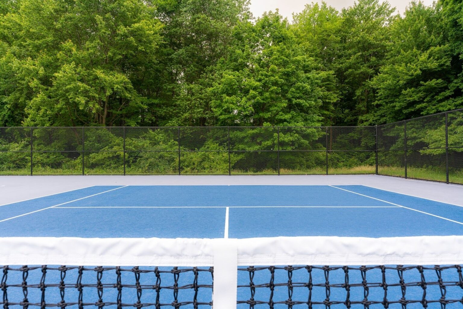 Pickleball Court Design & Installation in Zelienople | Daily Landscaping
